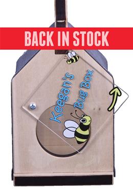 Personalized Bug Box - Craft-E-Family